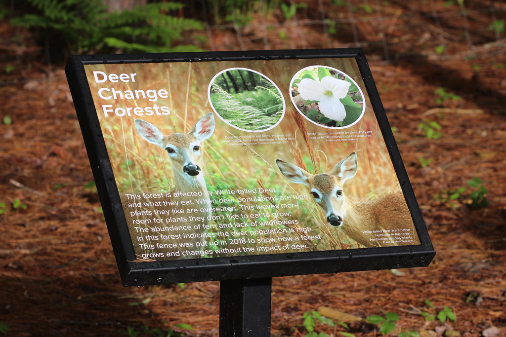 Enjoy enhanced trails at Audubon Nature Center | News, Sports, Jobs ...